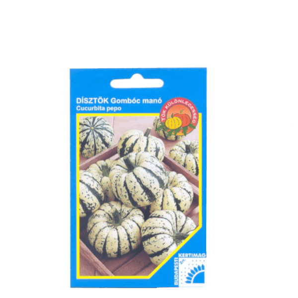 Kertimag dísztök gombóc manó dísztök - Növénymag - Növény