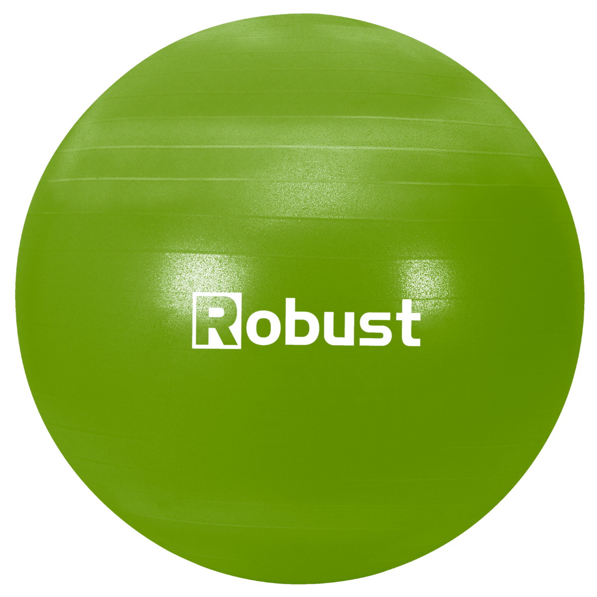 ROBUST FITNESZ LABDA PUMPÁVAL 65CM MŰANYAG MAX.FELHASZNÁLÓI