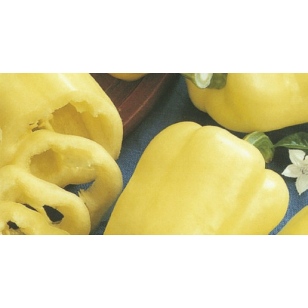 KERTIMAG PAPRIKA SZINTETIKUS - Növénymag - Növény - Kert