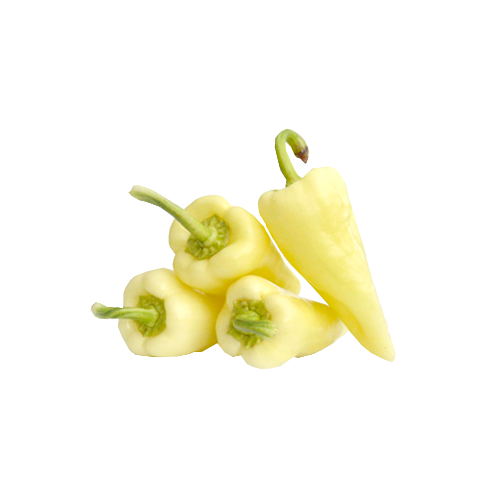 KERTIMAG PAPRIKA SZINTETIKUS - Növénymag - Növény - Kert