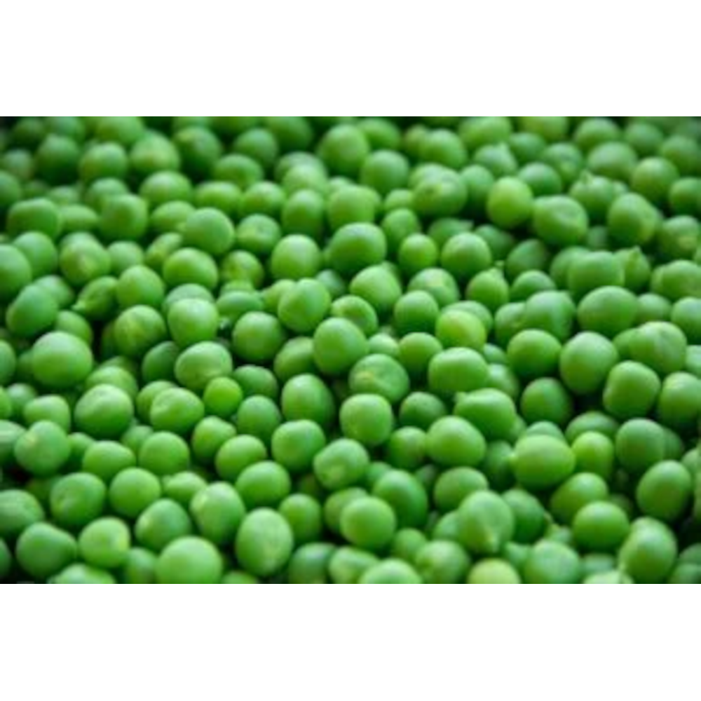 KERTIMAG BORSÓ KELVEDON 250 G - Növénymag - Növény - Kert