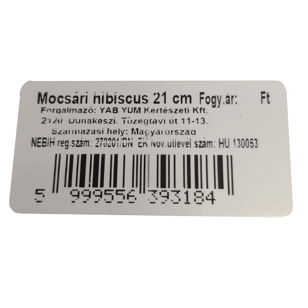MOCSÁRI HIBISZKUSZ CS: 21CM MÁLYVACSERJE - Faiskolai növény