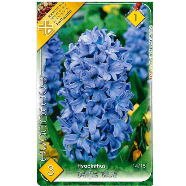 VIRÁGHAGYMA JÁCINT 'DEFT BLUE' 3DB/CSOMAG KÉK - Virághagyma