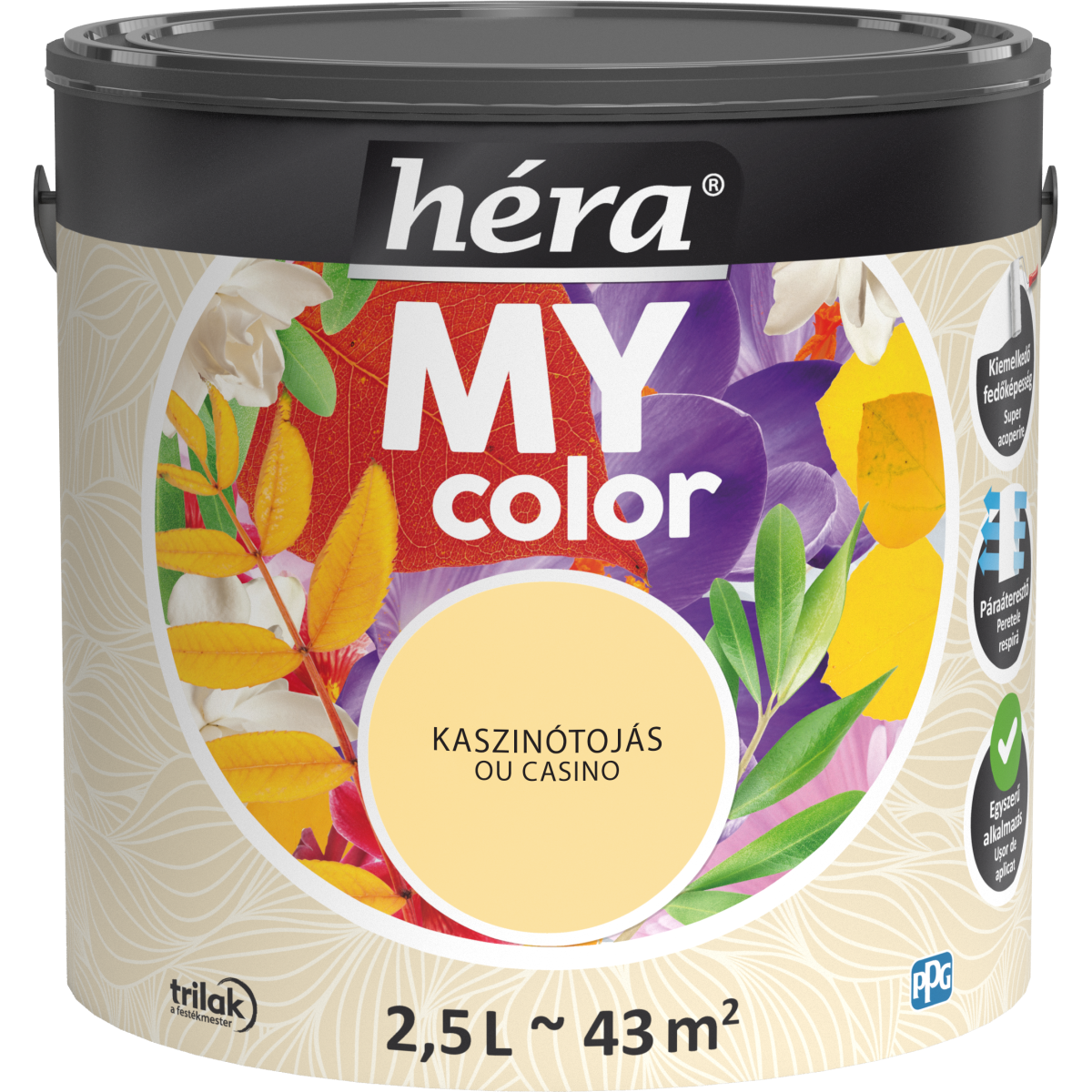Héra my color beltéri falfesték kaszinótojás, 2,5l - Falfesték